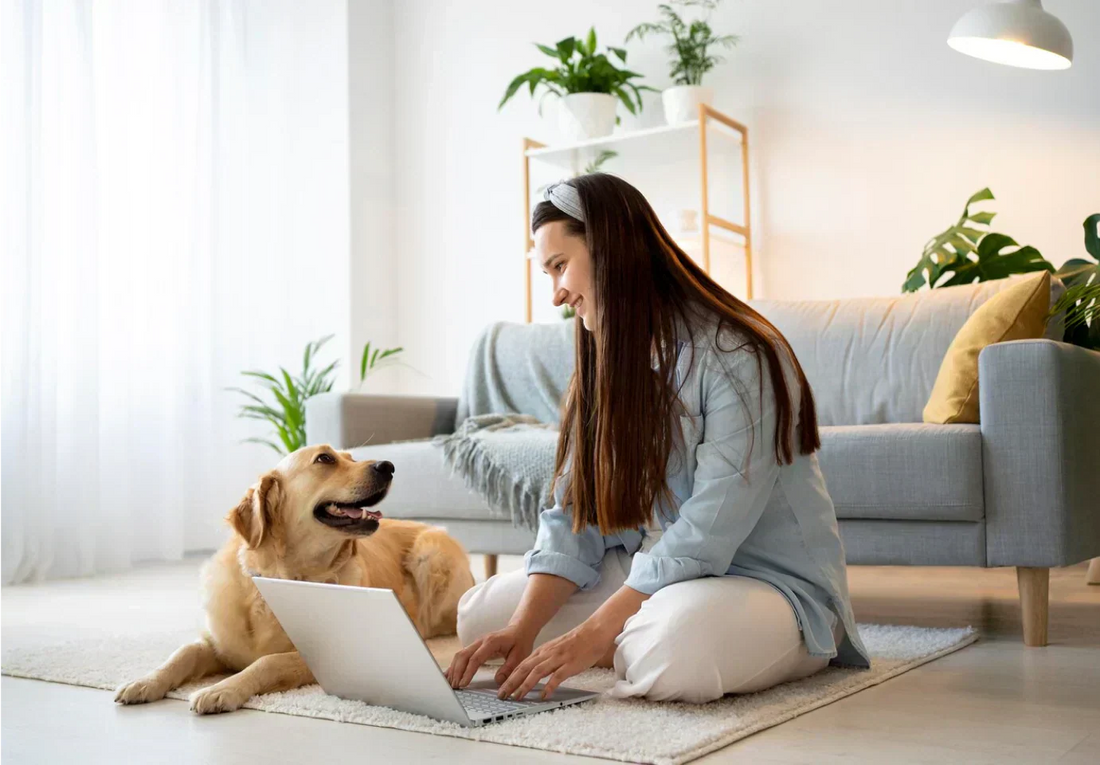 5 Must-Know Tips for Dog Owners This Winter – Pawsome Place